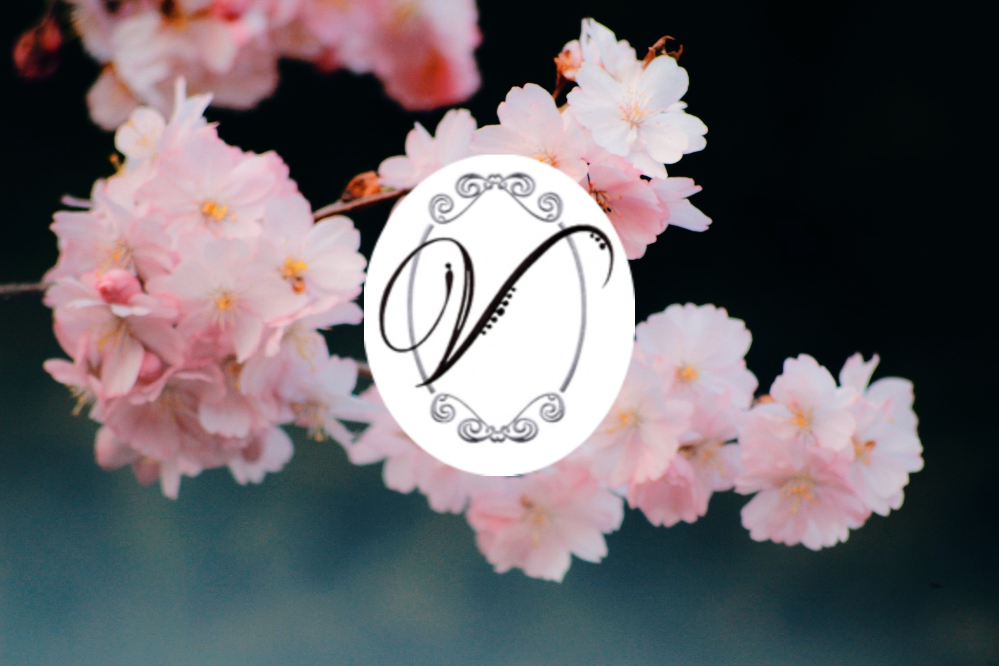 Vanity Bag SA – Salon quality skin and beauty solutions